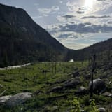 Cub Lake Loop, Colorado - 2,210 Reviews, Map | AllTrails