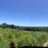 Gander Mountain Loop Trail, Illinois - 514 Reviews, Map | AllTrails