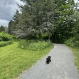 The Windham Path, New York - 665 Reviews, Map | AllTrails