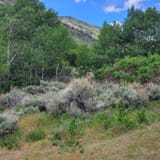 Toiyabe Crest Trail, Nevada - 3 Reviews, Map | AllTrails