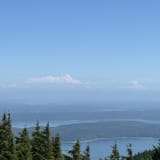 Mount Walker, Washington - 2,184 Reviews, Map | AllTrails
