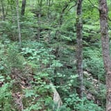 Patton Cave via Hayes and Patton Cave Trail, Indiana - 401 Reviews, Map ...