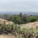 Mount Rubidoux Trail, California - 6,388 Reviews, Map | AllTrails