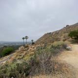 Mount Rubidoux Trail, California - 6,064 Reviews, Map | AllTrails