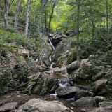 Rose River Trail, Virginia - 4,926 Reviews, Map | AllTrails