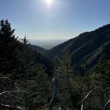 Truman Gulch Trail, Montana - 391 Reviews, Map | AllTrails