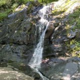 Jones Run Falls Trail, Virginia - 855 Reviews, Map | AllTrails