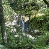 Jones Run Falls Trail, Virginia - 855 Reviews, Map | AllTrails