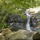 Jones Run Falls Trail, Virginia - 855 Reviews, Map | AllTrails