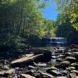 Edward's Point Trail, Tennessee - 2,608 Reviews, Map | AllTrails