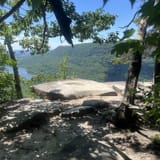 Edward's Point Trail, Tennessee - 2,608 Reviews, Map | AllTrails