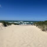 Warren Dunes Trail, Michigan - 1,246 Reviews, Map | AllTrails