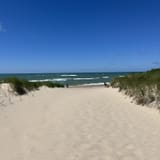 Warren Dunes Trail, Michigan - 1,404 Reviews, Map | AllTrails