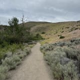 Hunter Creek Trail, Nevada - 4,643 Reviews, Map | AllTrails