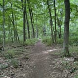 Wadsworth Falls Loop, Connecticut - 4,199 Reviews, Map | AllTrails