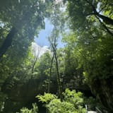 Russell Cave Trail, Alabama - 131 Reviews, Map | AllTrails