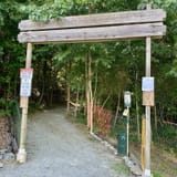 Lake Thom-a-Lex Nature Trail, North Carolina - 264 Reviews, Map | AllTrails