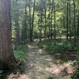 Lake Thom-a-Lex Nature Trail, North Carolina - 264 Reviews, Map | AllTrails