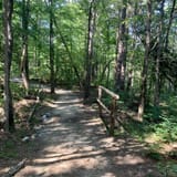 Lake Thom-a-Lex Nature Trail, North Carolina - 264 Reviews, Map | AllTrails