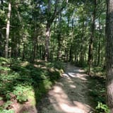 Lake Thom-a-Lex Nature Trail, North Carolina - 264 Reviews, Map | AllTrails