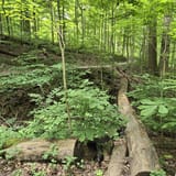 Cincinnati Nature Center Loop, Ohio - 1,463 Reviews, Map | AllTrails