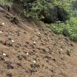 Barr Camp via Barr Trail, Colorado - 1,404 Reviews, Map | AllTrails