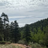 Barr Camp via Barr Trail, Colorado - 1,404 Reviews, Map | AllTrails