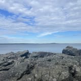 Compass Harbor Trail, Maine - 702 Reviews, Map | AllTrails