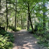 Point Defiance Park Outer Loop, Washington - 4,395 Reviews, Map | AllTrails