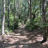 Point Defiance Park Outer Loop, Washington - 4,182 Reviews, Map | AllTrails