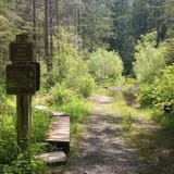 Wallace Falls and Wallace Lake Loop, Washington - 1,426 Reviews, Map ...