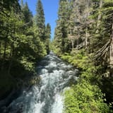 Koosah and Sahalie Falls Trail, Oregon - 1,761 Reviews, Map | AllTrails