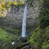 Watson Falls, Oregon - 1,201 Reviews, Map | AllTrails