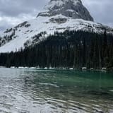 Yoho Pass - Yoho Lake, British Columbia, Canada - 302 Reviews, Map ...