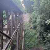 Cape Fear River Trail, North Carolina - 1,140 Reviews, Map | AllTrails