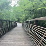 Cape Fear River Trail, North Carolina - 1,140 Reviews, Map | AllTrails