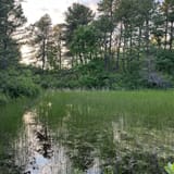 Paumanok Path, New York - 126 Reviews, Map | AllTrails