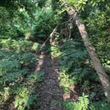 Paumanok Path, New York - 126 Reviews, Map | AllTrails