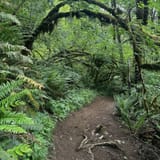 Mima Falls Loop, Washington - 1,673 Reviews, Map | AllTrails
