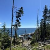 Ocean Path Trail, Maine - 3,554 Reviews, Map | AllTrails