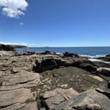Ocean Path Trail, Maine - 3,554 Reviews, Map | AllTrails