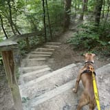 Henderson Park Loop, Georgia - 1,826 Reviews, Map | AllTrails