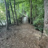 Henderson Park Loop, Georgia - 1,826 Reviews, Map | AllTrails