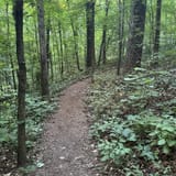 Henderson Park Loop, Georgia - 1,589 Reviews, Map | AllTrails