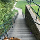 Henderson Park Loop, Georgia - 1,826 Reviews, Map | AllTrails