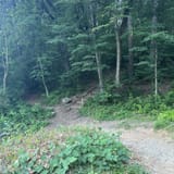 Henderson Park Loop, Georgia - 1,826 Reviews, Map | AllTrails