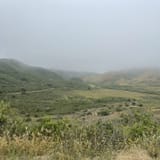 Gerbode Valley Loop, California - 529 Reviews, Map | AllTrails