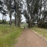 Gerbode Valley Loop, California - 529 Reviews, Map | AllTrails