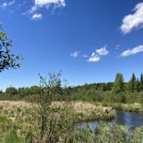 Lost '40' Trail, Minnesota - 173 Reviews, Map | AllTrails