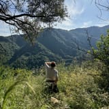 Murphy Ranch Trail, California - 3,907 Reviews, Map | AllTrails